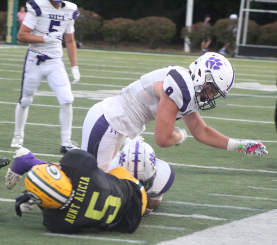 Football Notebook: Panthers are clearly a different team | News, Sports ...